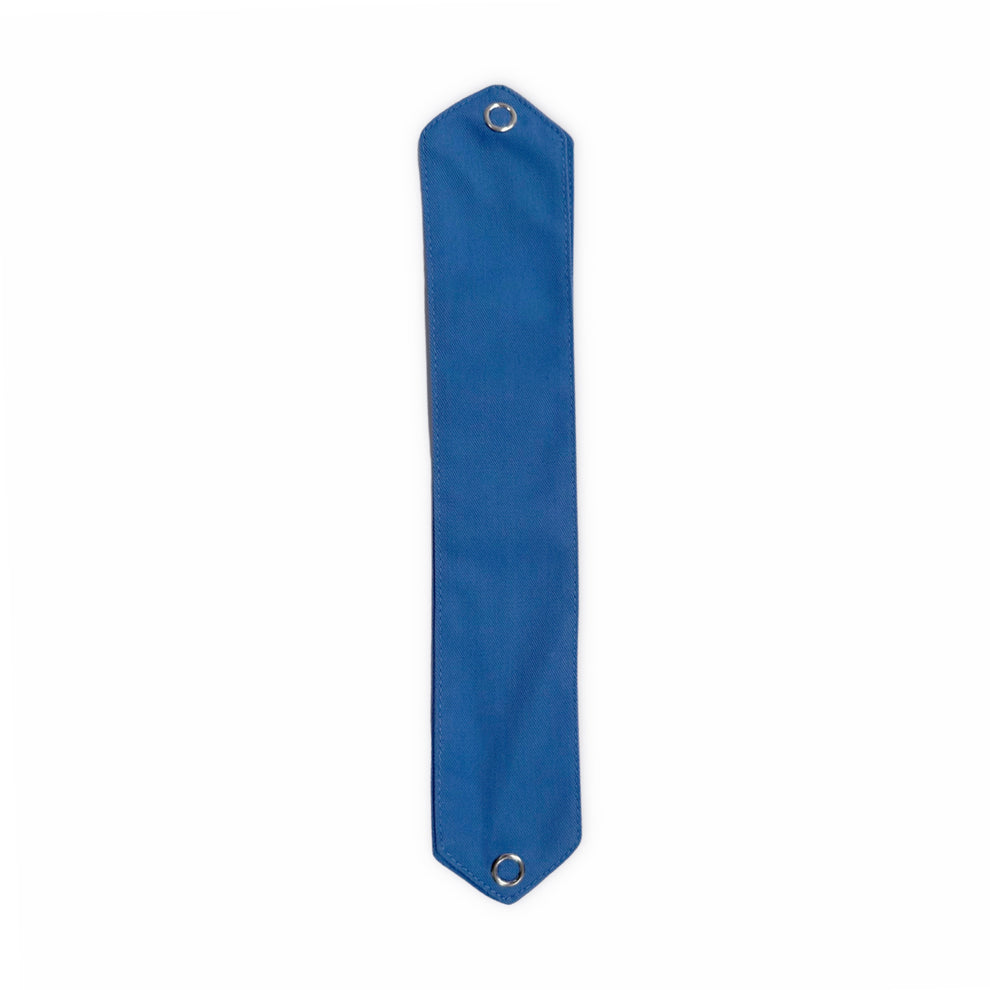 Behrens Hospital Blue Epaulette Pair - NE/HB